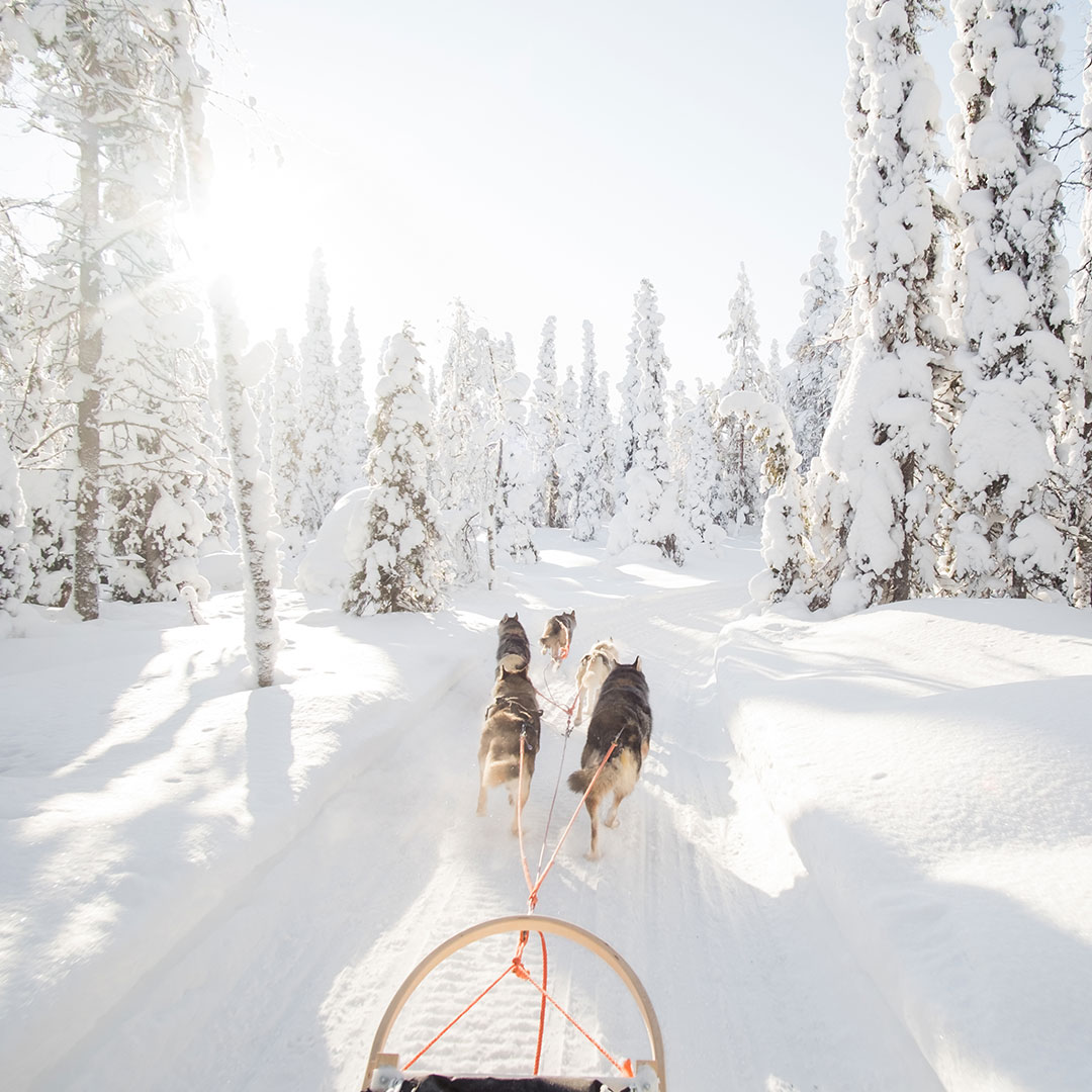 BT Tours, Expert belge du voyage organisé, circuits en petits groupes ...